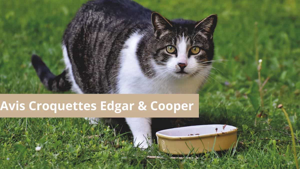 Avis sur Edgard & Cooper pour chats - Tout sur les chats